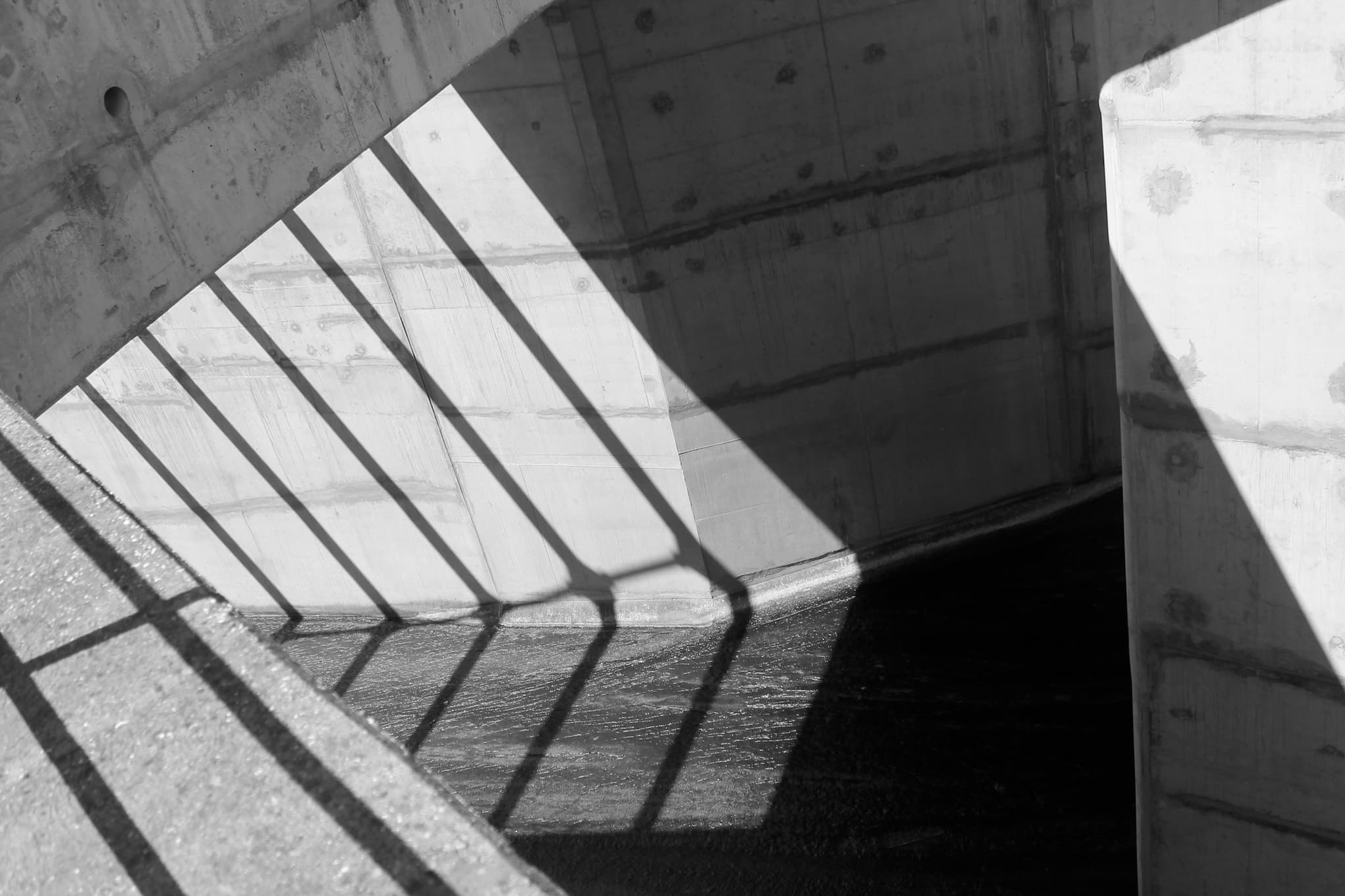 Cogram — The AI Platform for Architects and Engineers